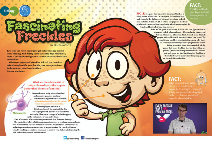 Biology Fascinating Freckles Brainspace Magazine Interactive And Educational